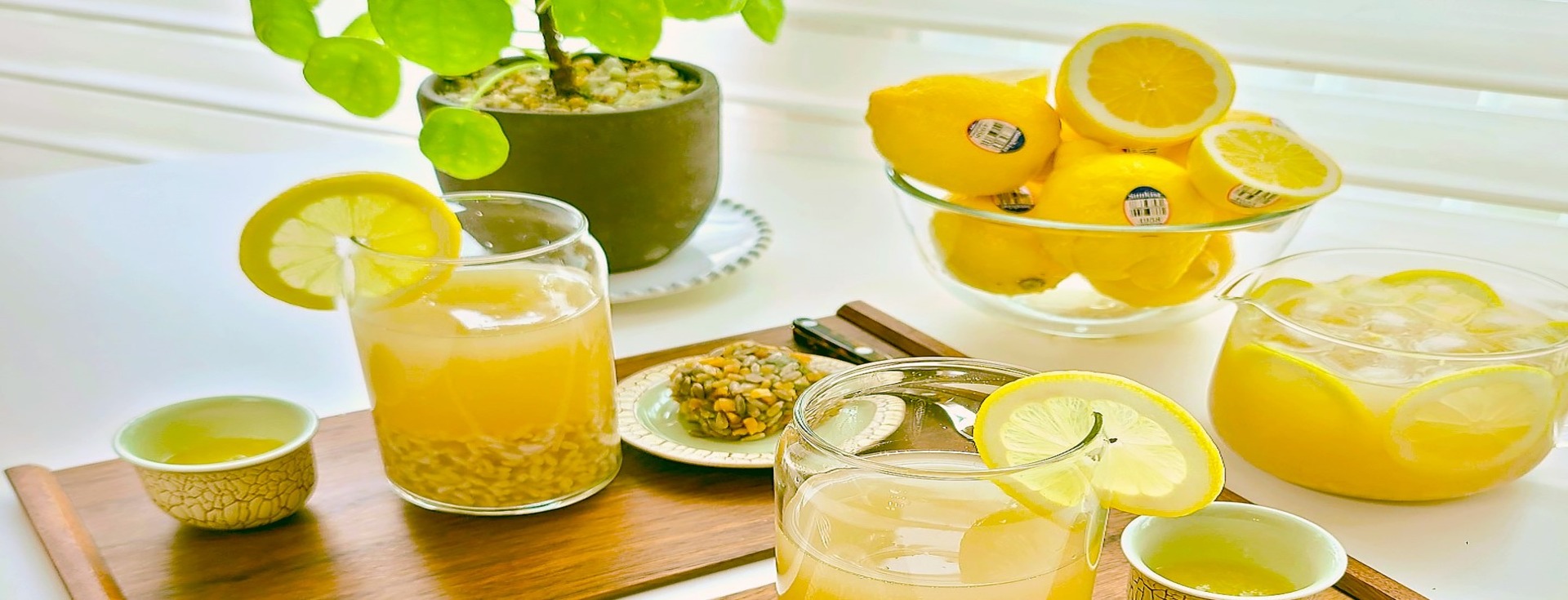 Banner | Sunkist kr